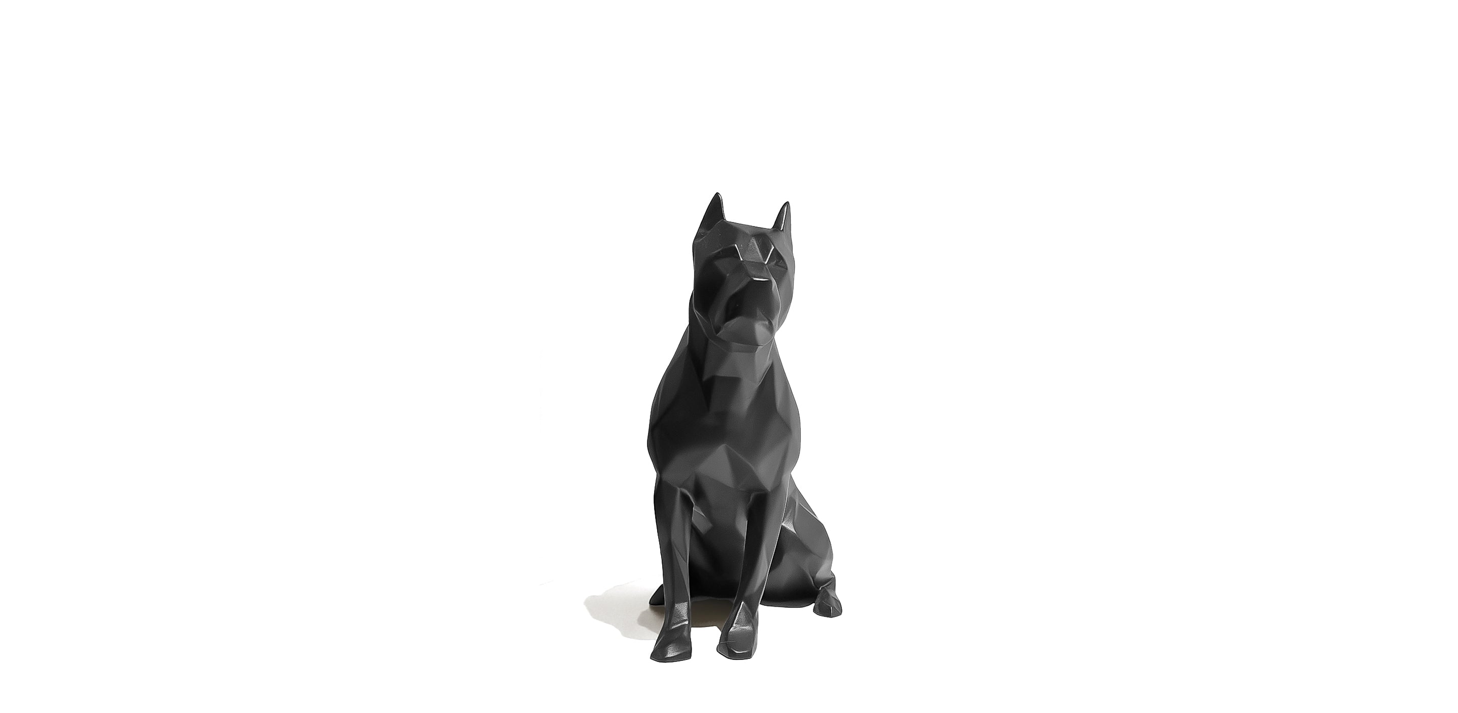 Polygon Dog – Belong