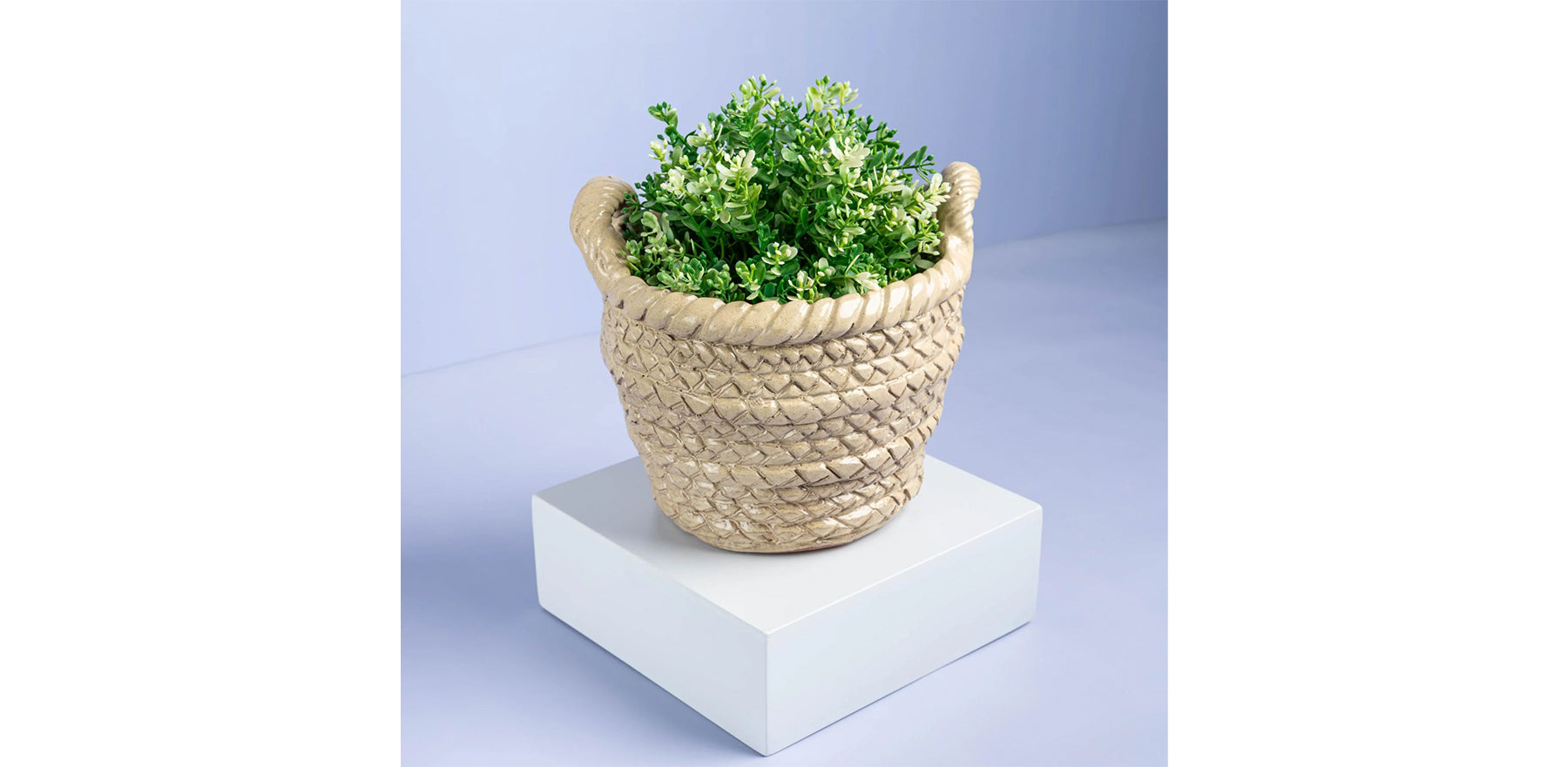 Weaved Basket Plant Pot – Belong